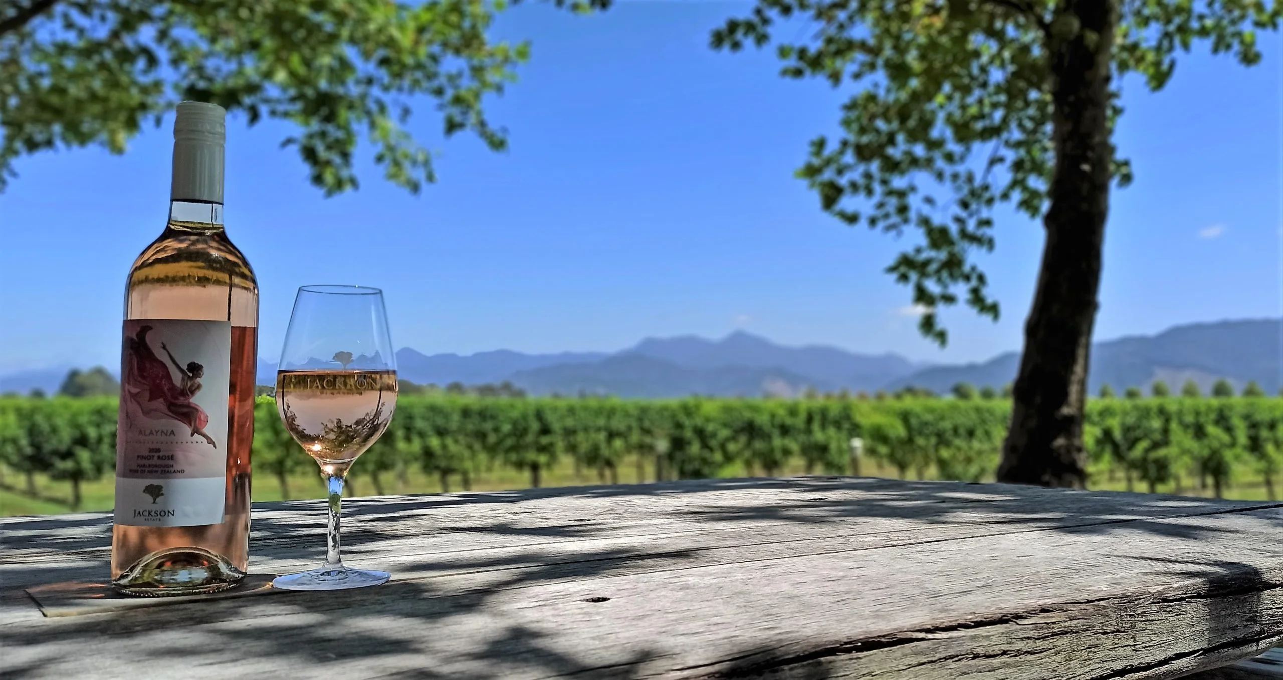 Marlborough Rosé on New Zealand Rosé Day 2021