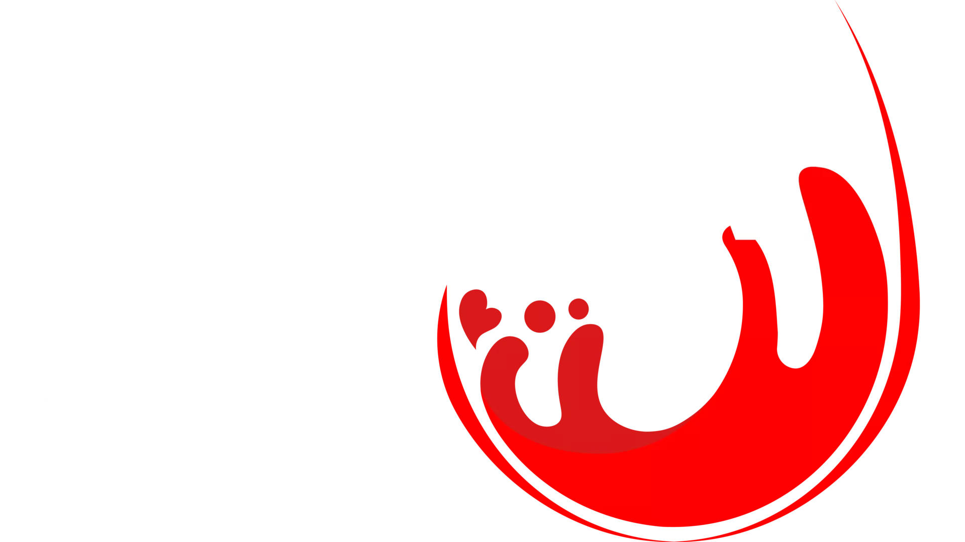 Marlborough Wine Tour, Blenheim Wineries, Qualified Guide | Discovery ...